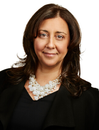 Strategy & Governance - Skyline Commercial REIT